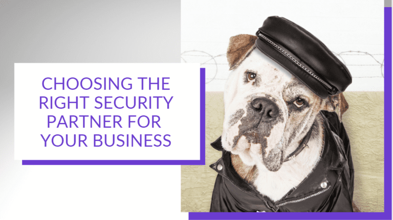 Cyber Security Company It Services Company Aeko Technologies